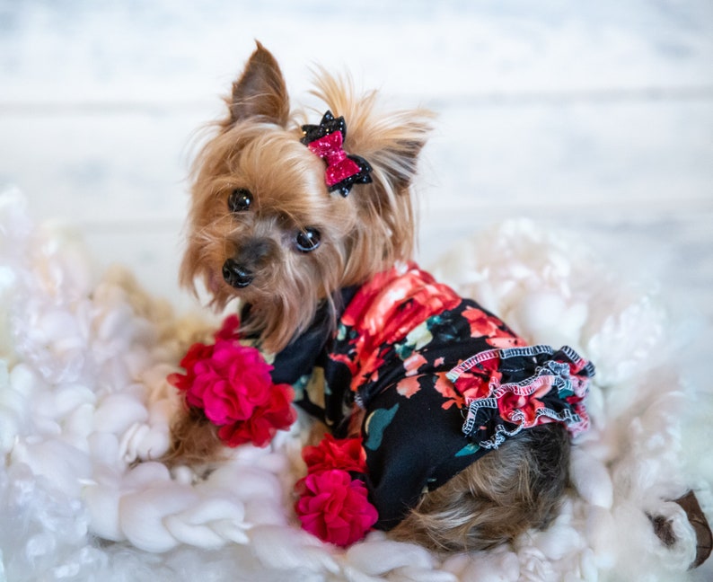 Fancy Dog Bows. Black and Red Glitter . Small Dog Bows for Girl Dogs or ...