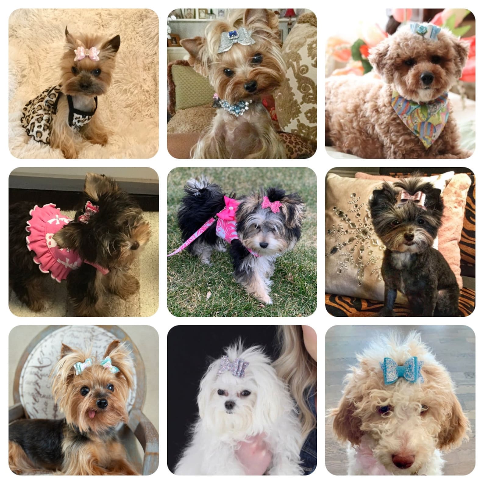 Cute Dog Hair Bows - Gold Glitter Dog Bow. Girl or Boy Dog Barrette ...