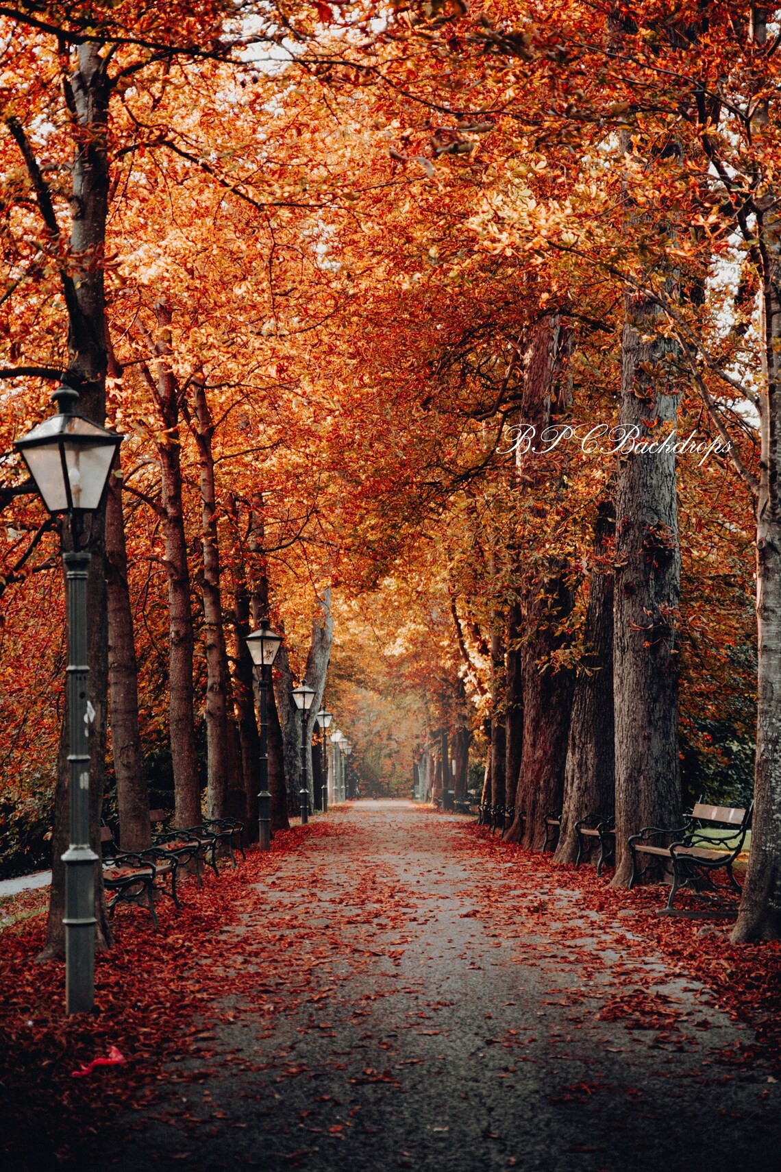 Autumn/fall Backdrop / Digital Background / Autumn Colors / - Etsy