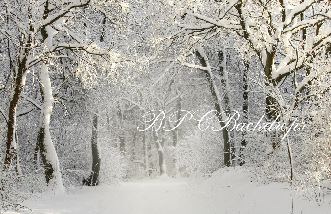 Christmas Digital Backdrop / Winter Background / Snow / Snowy Forest ...