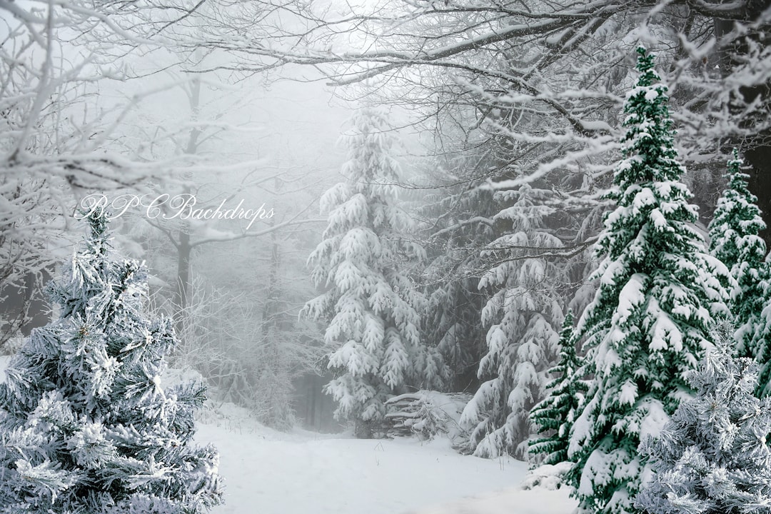 Winter Wonderland Backdrop, Portrait, Christmas Photography Backdrop ...