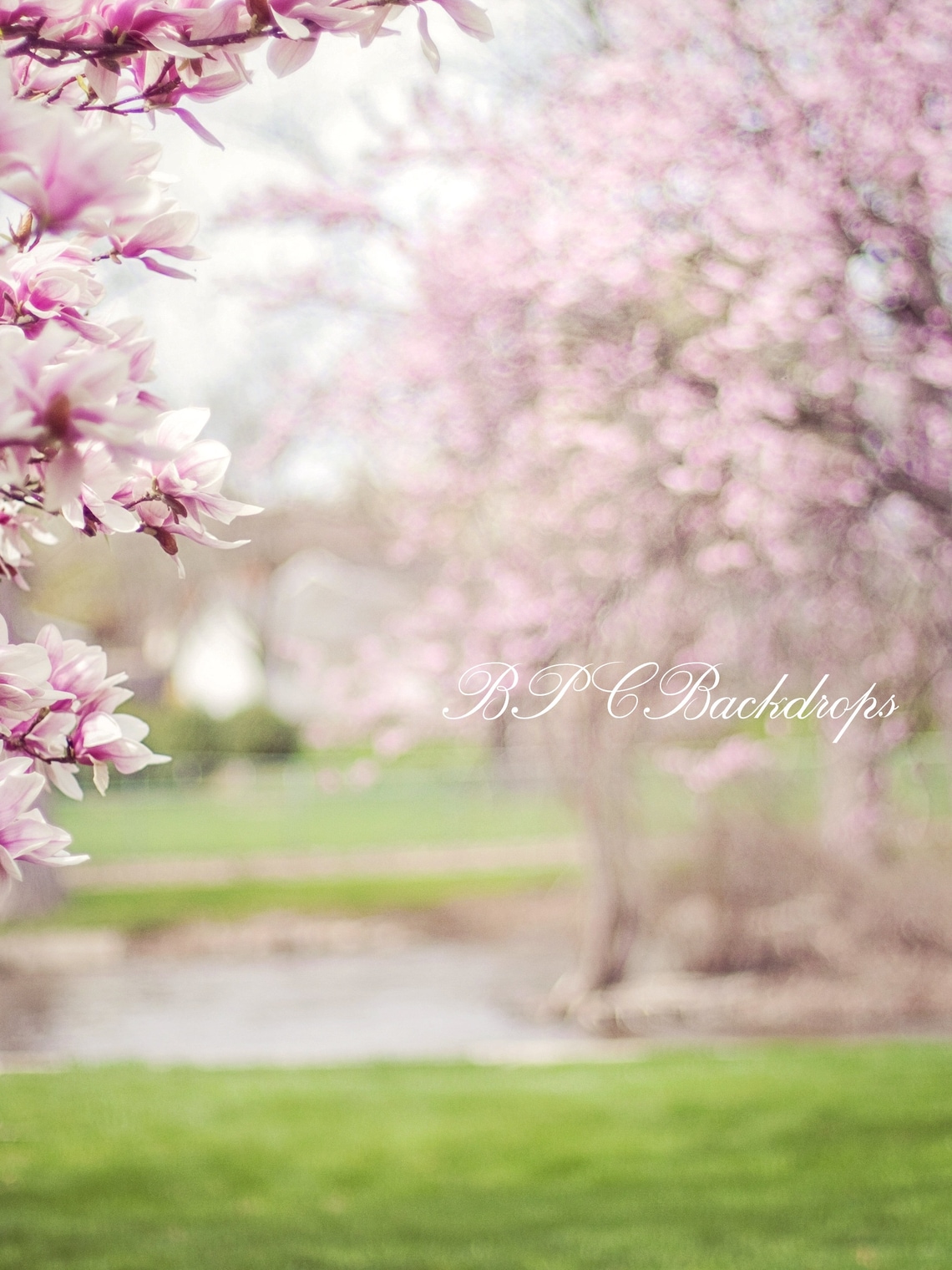 Spring Digital Backdrop Photography Background Magnolia - Etsy