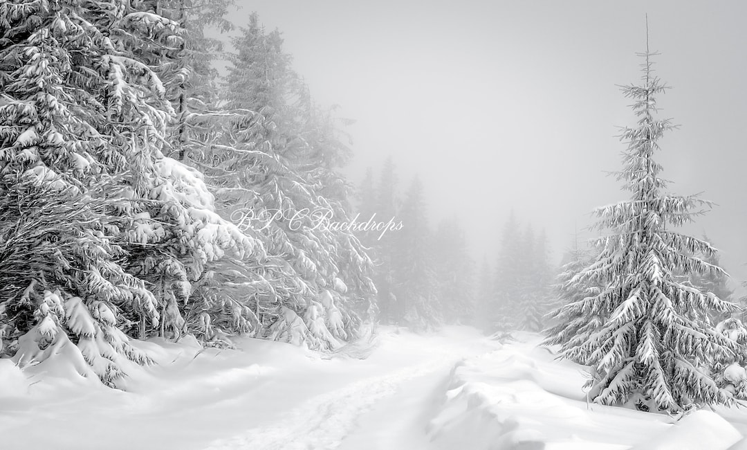 Winter Wonderland Backdrop, Photography Backdrop, Winter Background ...