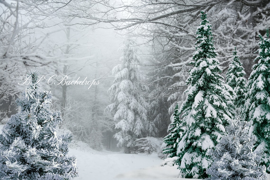 Winter Wonderland Backdrop Portrait Christmas Photography - Etsy
