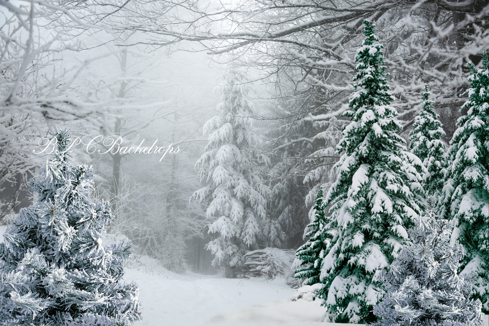 Winter Wonderland Backdrop Portrait Christmas Photography - Etsy