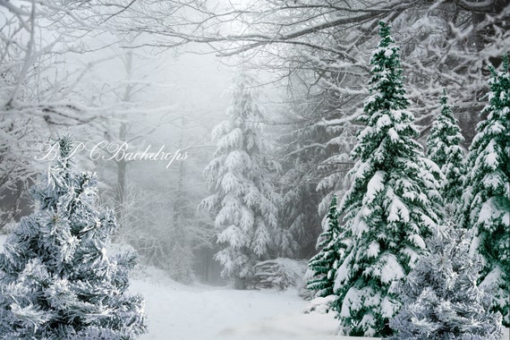 Winter Wonderland Backgrounds