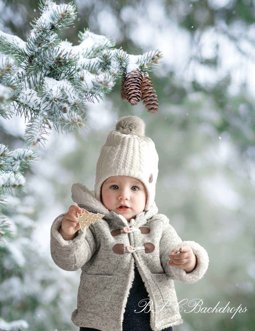 Winter Wonderland Backdrop, Portrait, Winter Christmas Photography ...