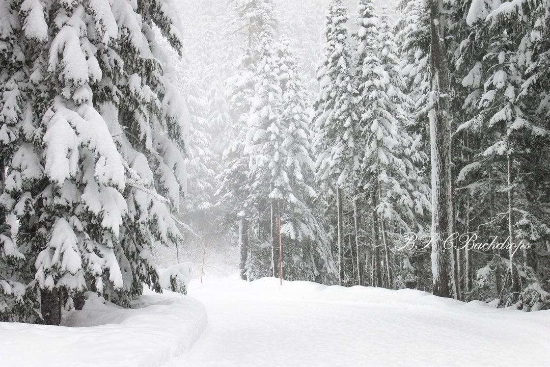 Winter Wonderland Backdrop, Portrait, Winter Christmas Photography ...
