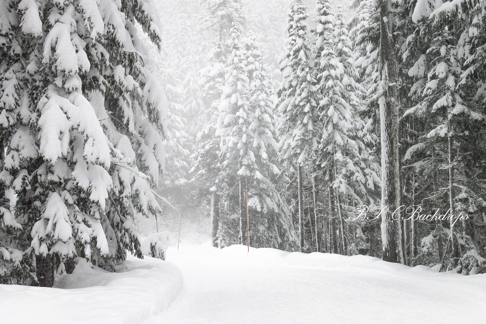Winter Wonderland Backdrop, Portrait, Winter Christmas Photography ...