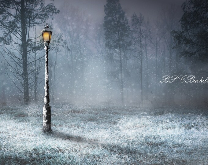 Winter Wonderland Backdrop Portrait Christmas Photography - Etsy