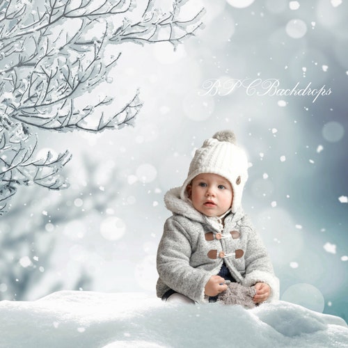 Winter Wonderland Backdrop Portrait Winter Christmas - Etsy