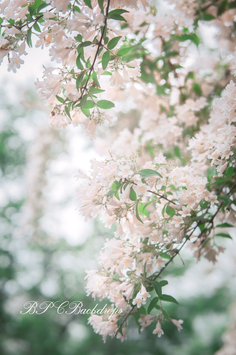 Spring Digital Photography Backdrop Wedding Digital - Etsy