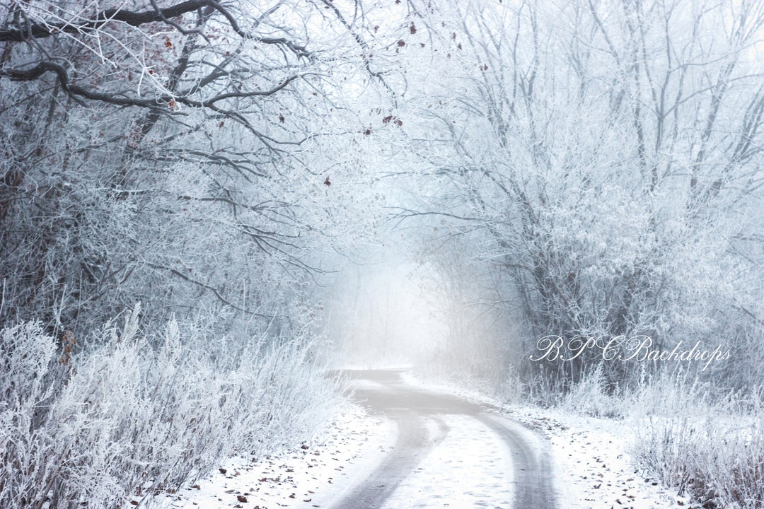 Winter Wonderland Backdrop, Photography Backdrop, Winter Forest, Winter ...