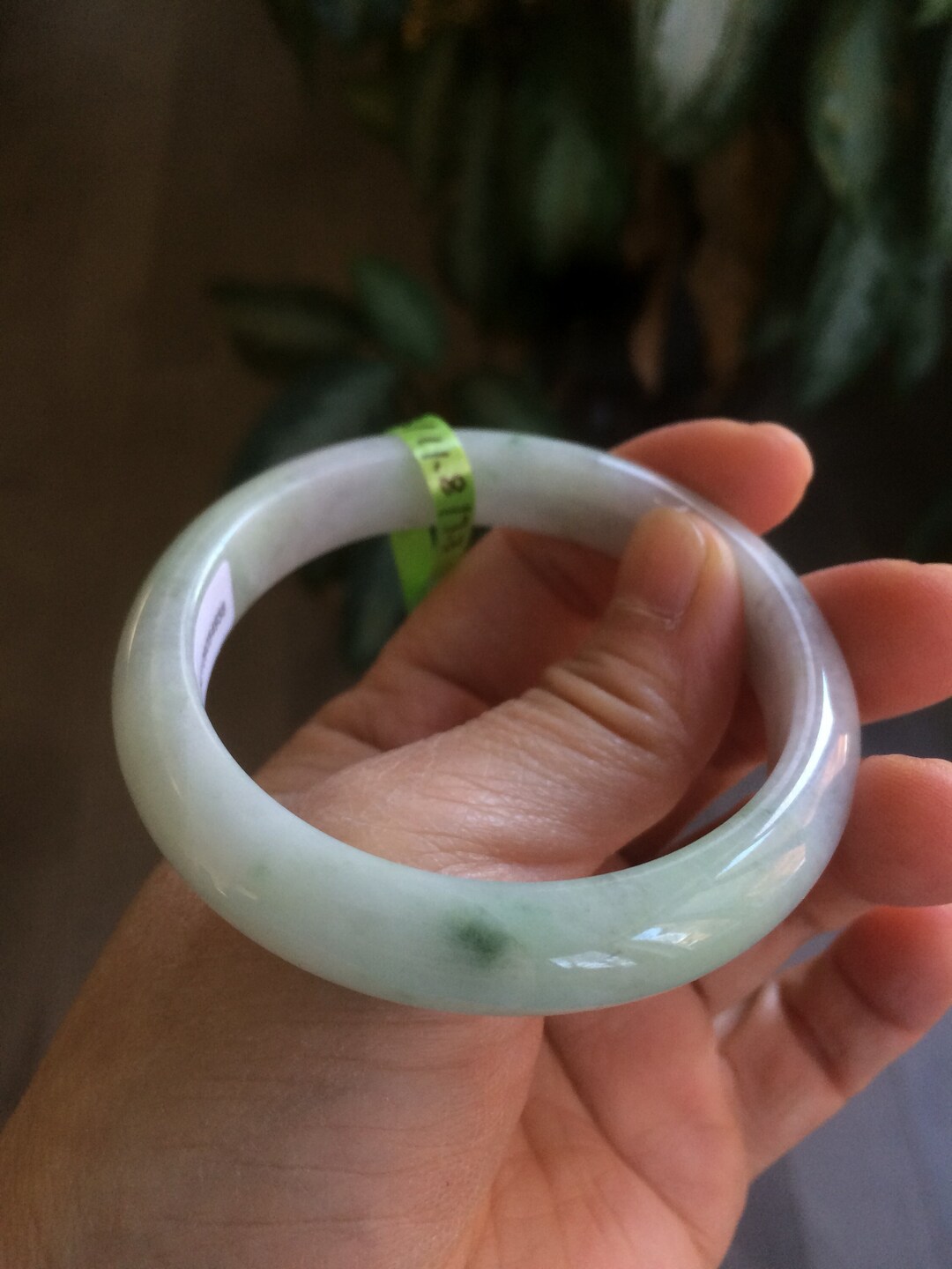 54.6mm Certified Type A 100% Natural Green/white Jadeite Jade Bangle ...