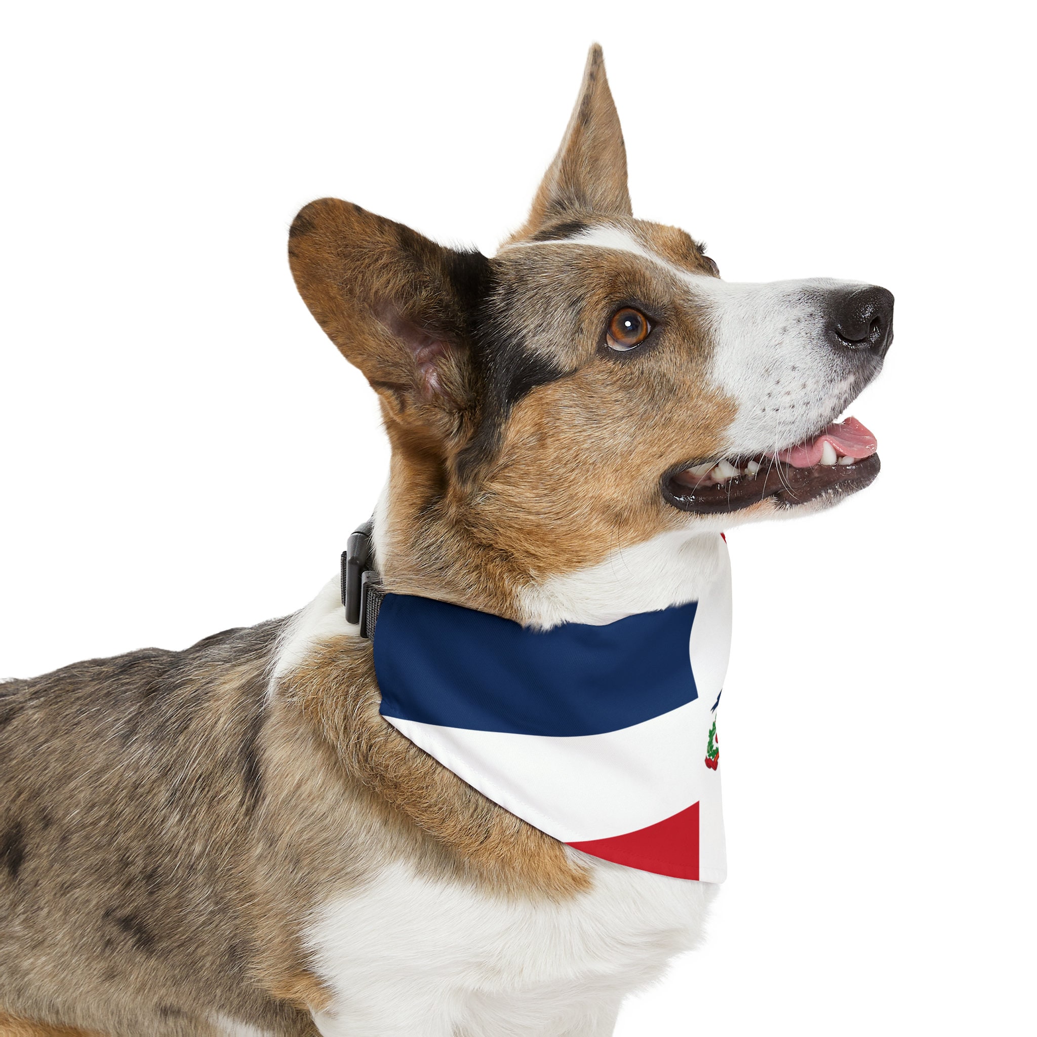Dominican Republic Flag Over the Collar Dog Bandana, Flag of Dominican ...