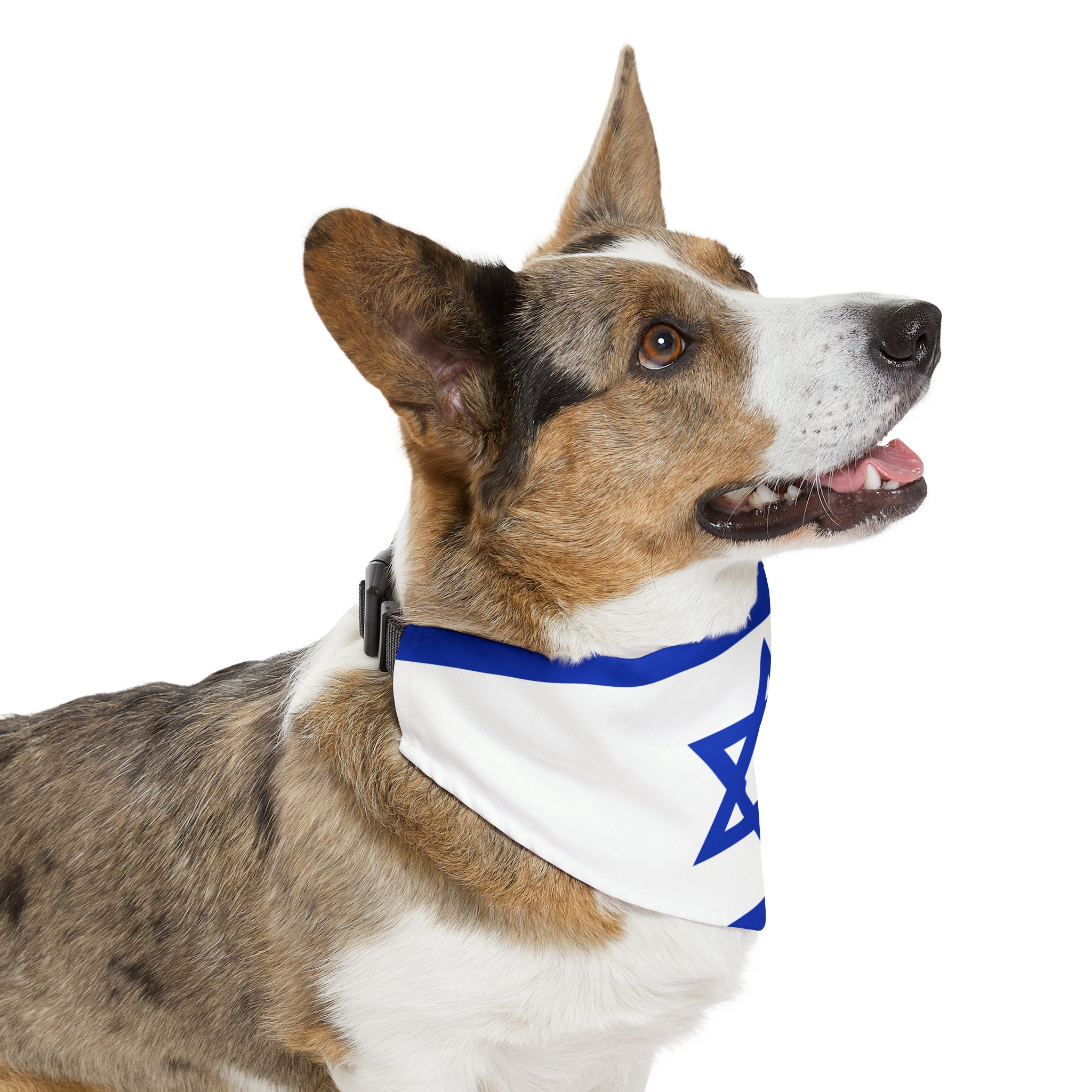 Israel Flag Dog Bandana, Flag of Israel Dog Bandana, Support Israel ...