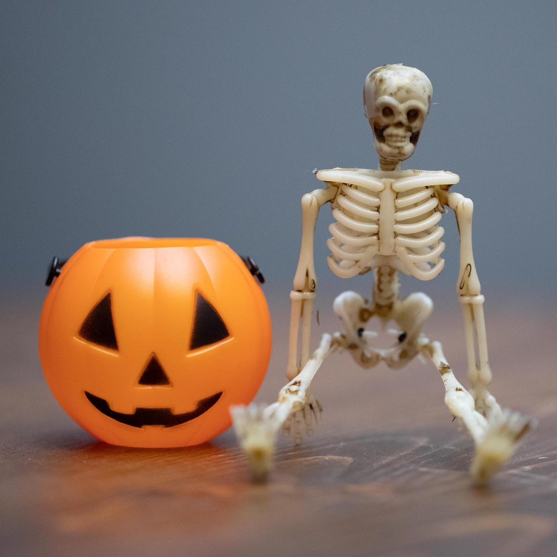 Miniature Plastic Skeleton for Dollhouse, Crafts - Etsy