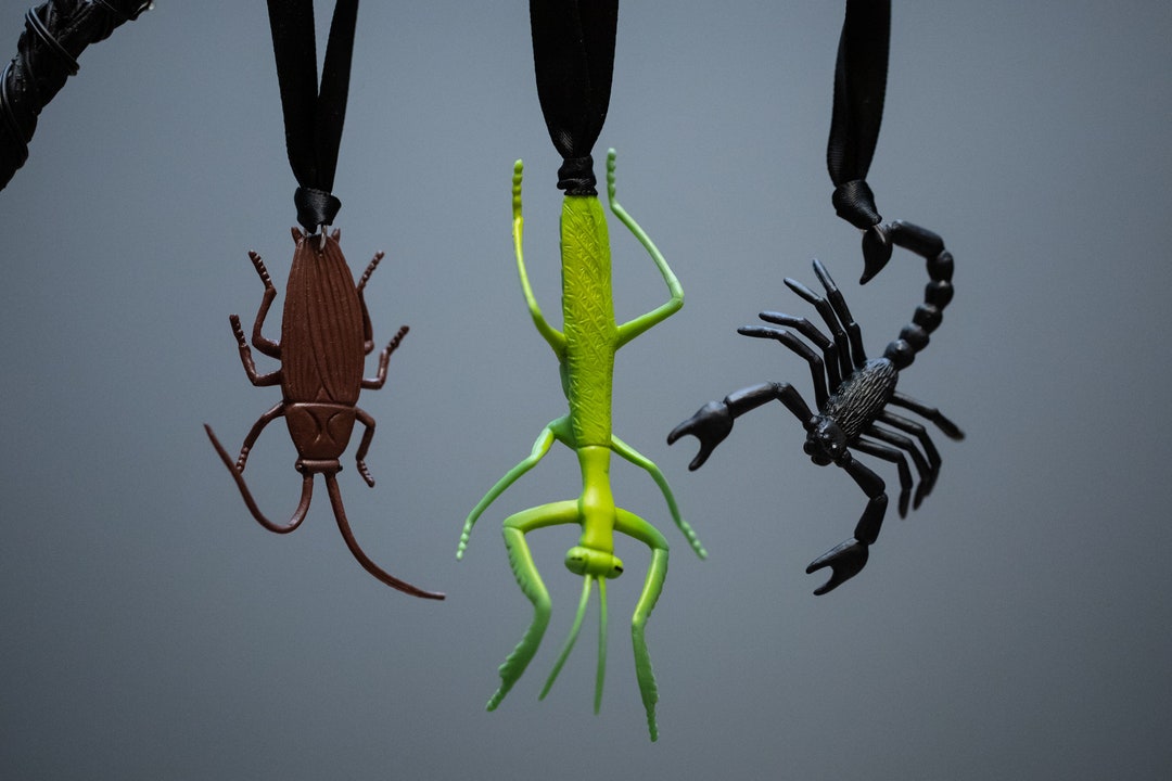 Insect Ornaments-praying Mantis-scorpion-roach - Etsy