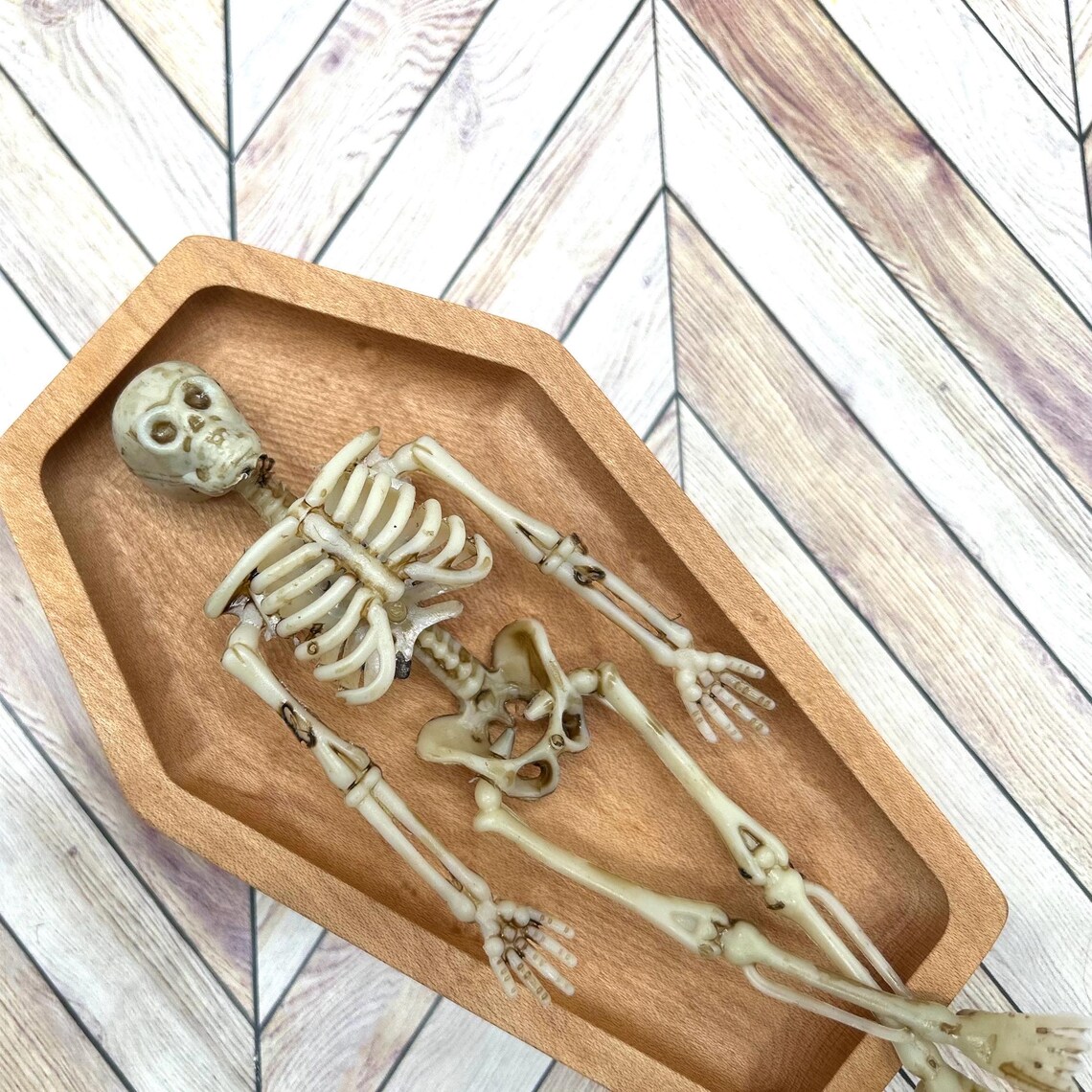 Miniature Plastic Skeleton for Dollhouse, Crafts - Etsy
