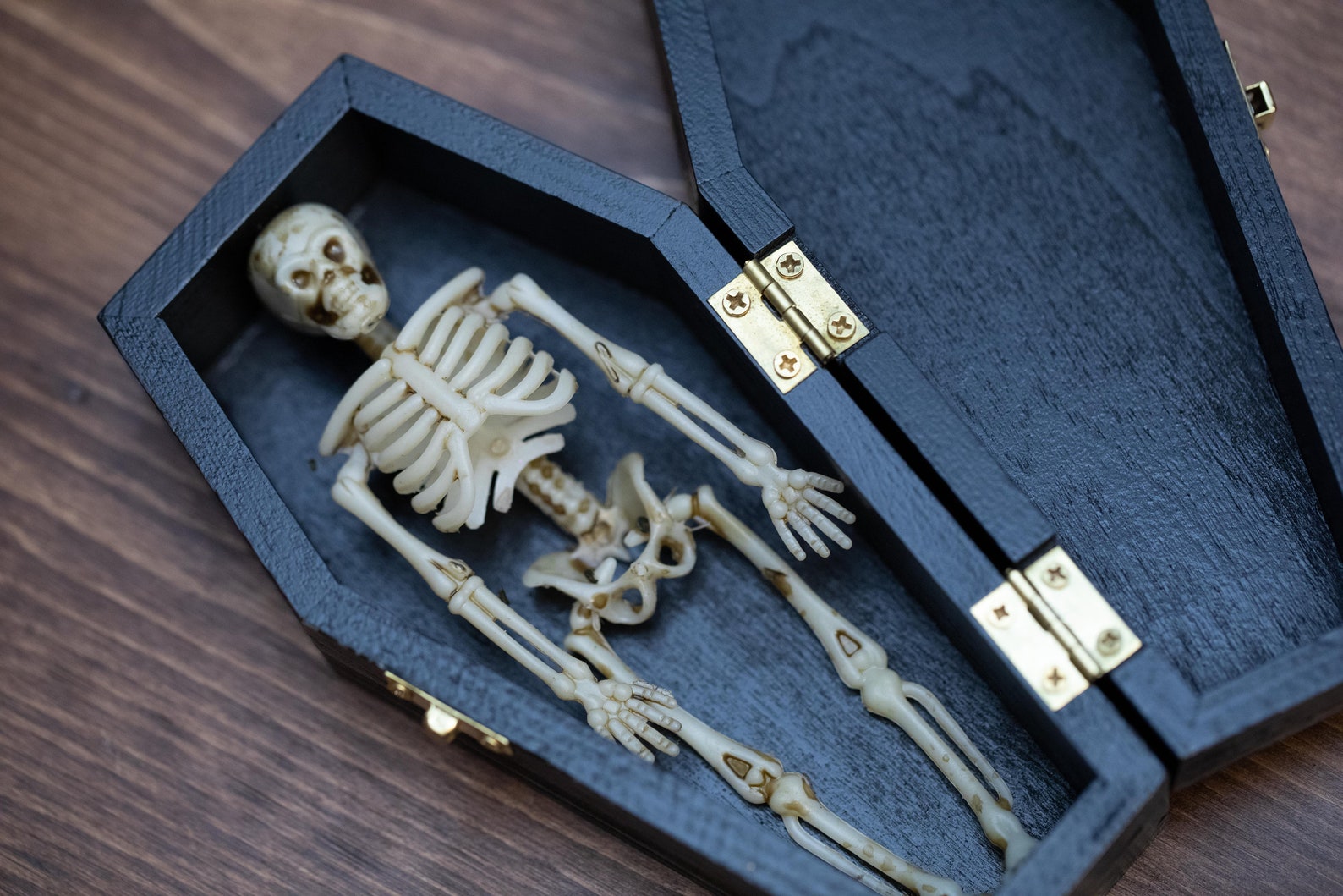 Miniature Plastic Skeleton for Dollhouse Crafts - Etsy