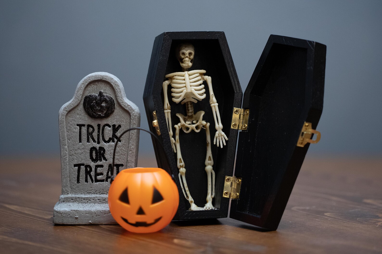 Miniature Plastic Skeleton for Dollhouse Crafts - Etsy