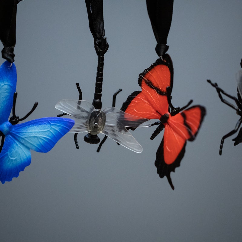 Butterfly Gags - Etsy