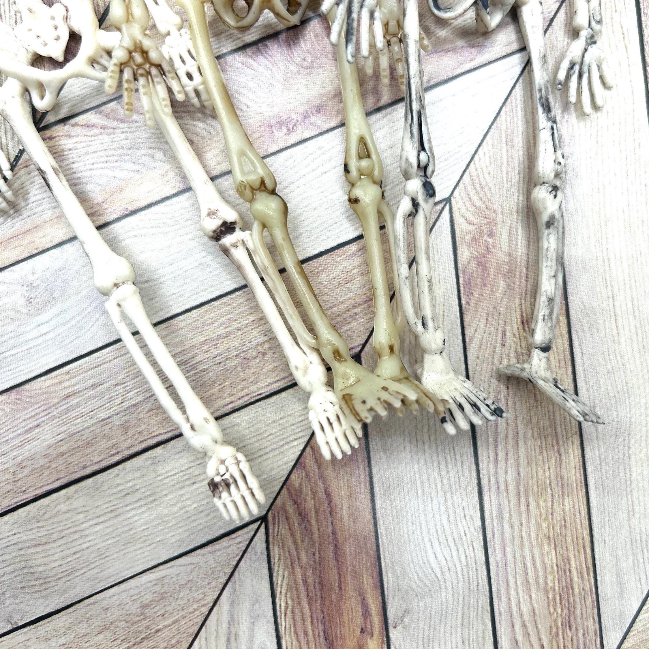 Miniature Plastic Skeleton for Dollhouse, Crafts - Etsy