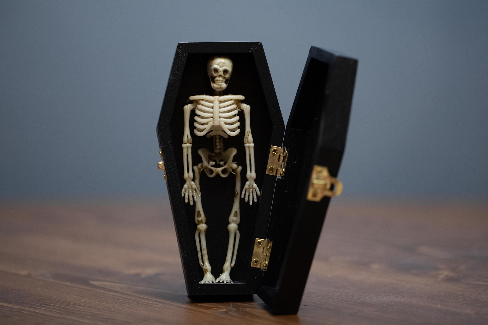 Miniature Plastic Skeleton for Dollhouse Crafts - Etsy