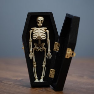 Miniature Plastic Skeleton for Dollhouse Crafts - Etsy