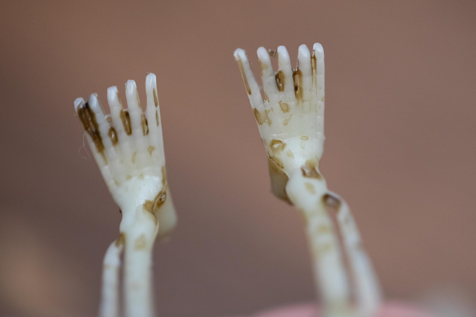 Miniature Plastic Skeleton for Dollhouse Crafts - Etsy