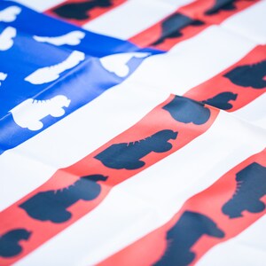 USA Roller Skate Flag, 3'x5' Skate Flag, Full Size Flag - Etsy