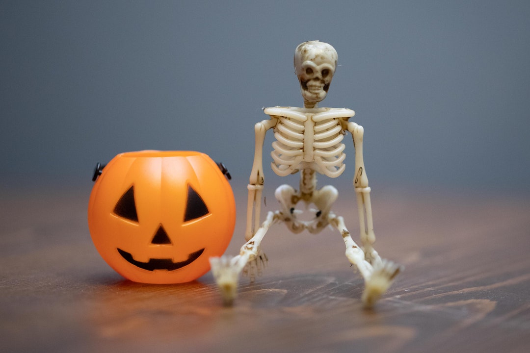 Miniature Plastic Skeleton for Dollhouse Crafts - Etsy