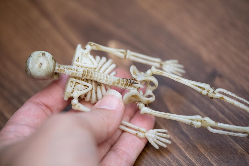 Miniature Plastic Skeleton for Dollhouse Crafts - Etsy