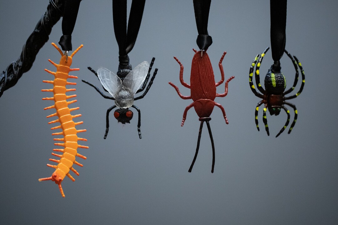 Insect Ornament-spider-centipede-roach-fly - Etsy