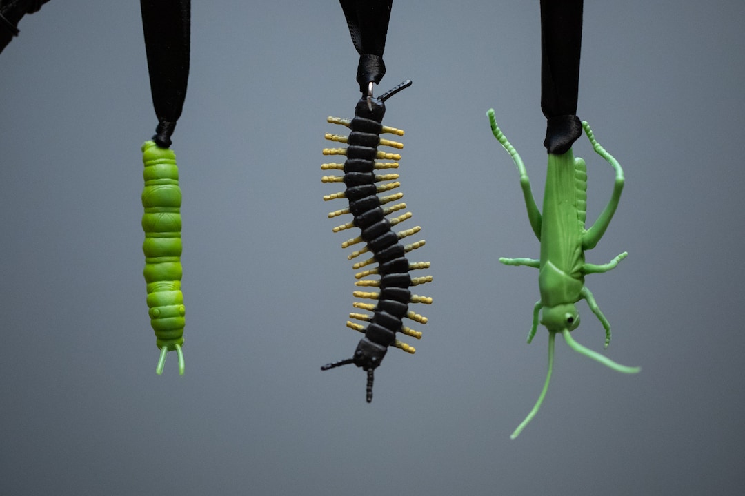 Insect Ornaments-caterpillar-centipede-grasshopper - Etsy