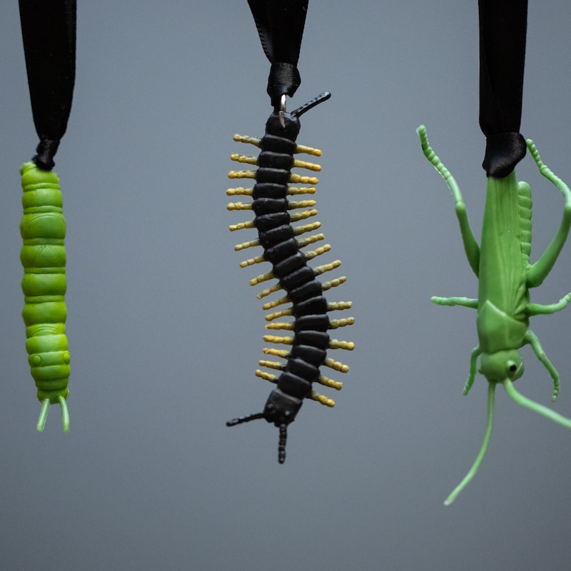 Insect Ornament - Etsy