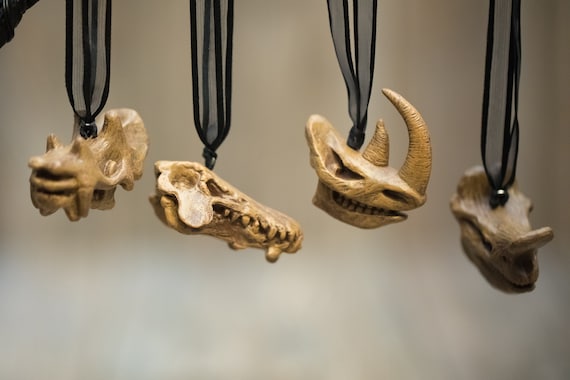 Embolotherium Skeleton