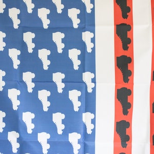 Roller Skate USA Flag: 3'x5' Polyester Banner - Etsy
