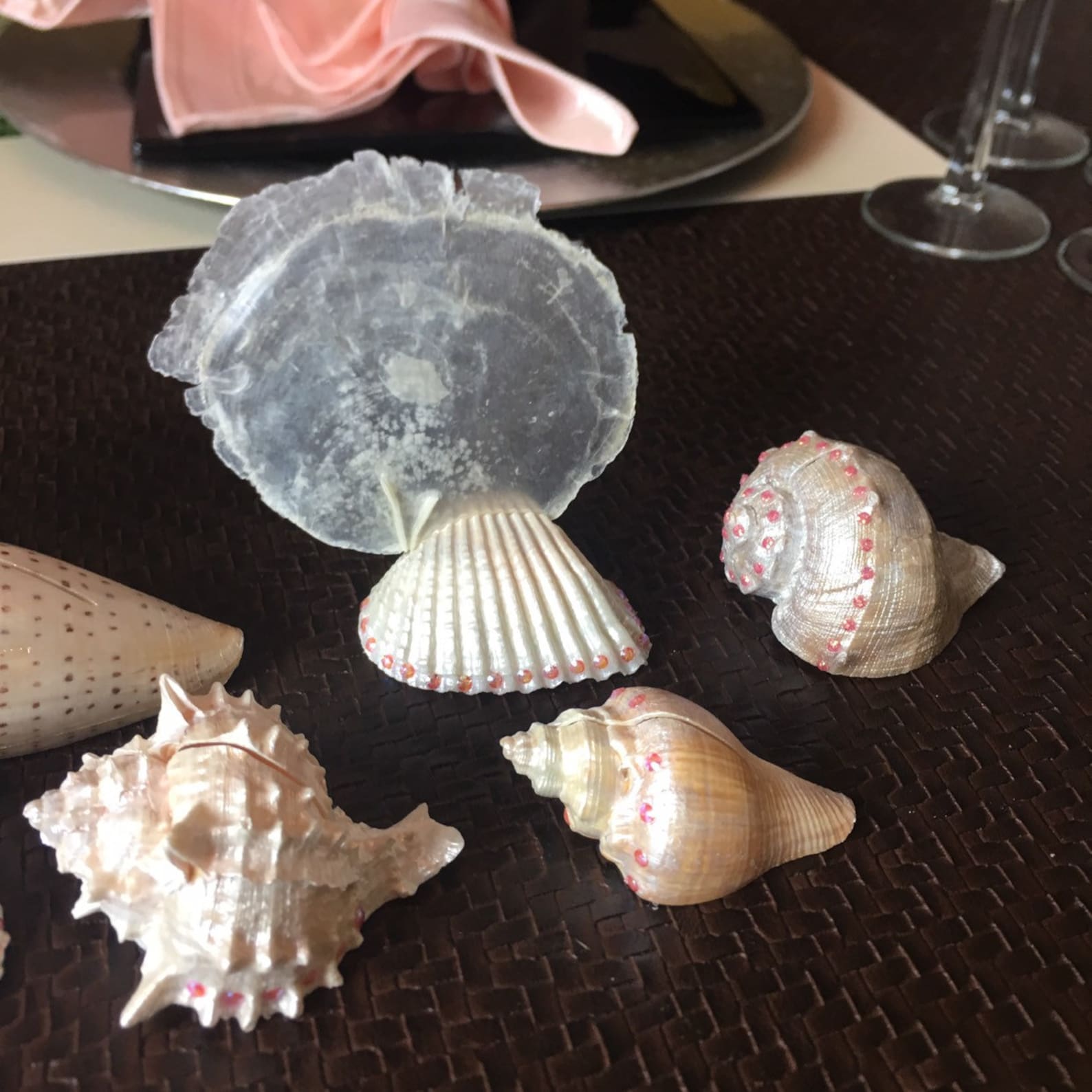 Seashell Card Holders - Etsy