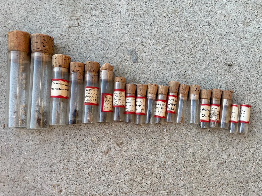 Vintage Antique Glass Vials - Etsy