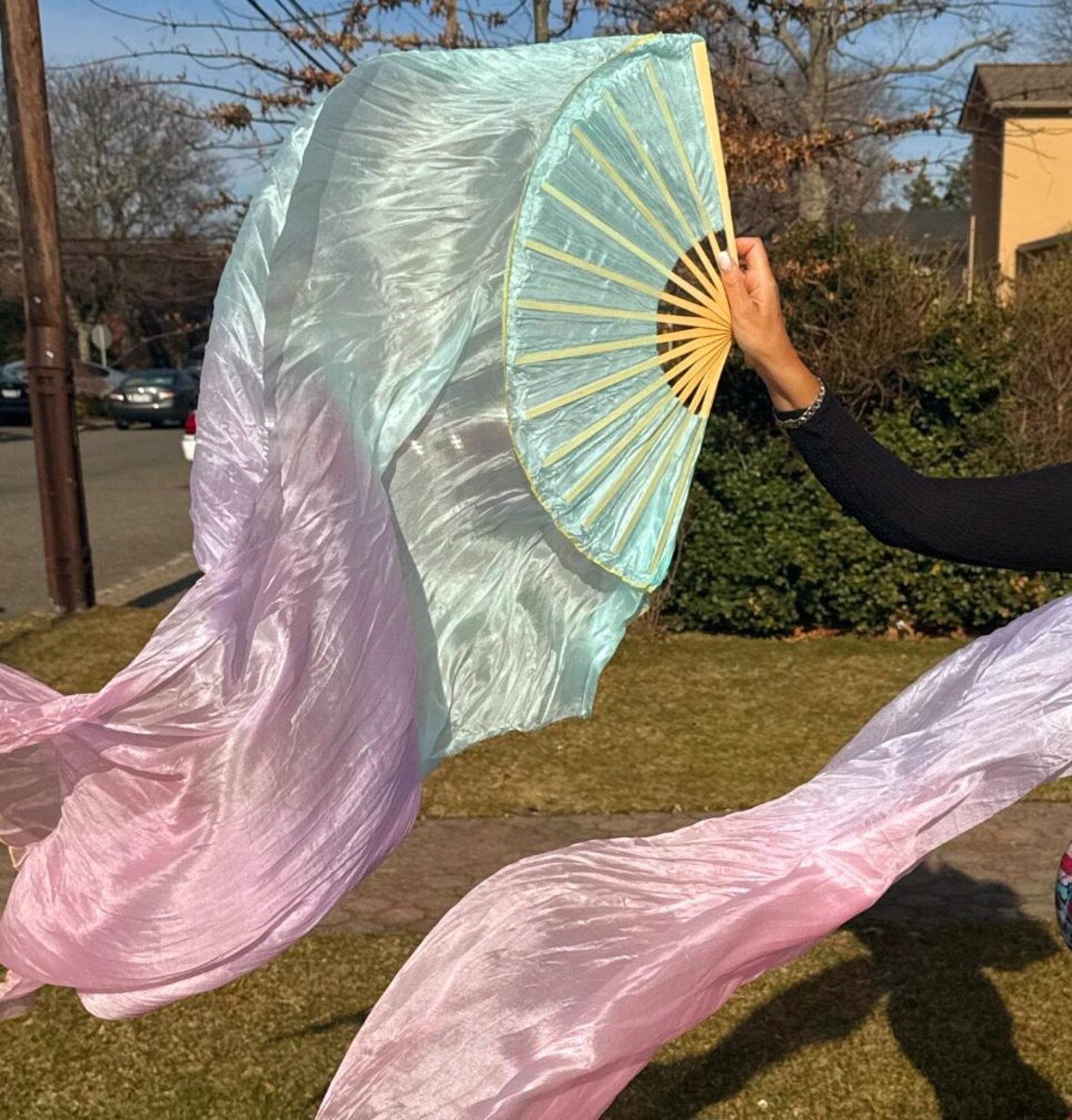 Pair of Belly Dance Costume Silk Fan Veils (free Case) - Etsy