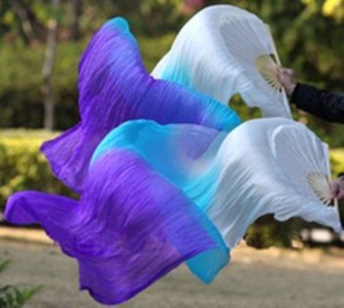 Pair of Belly Dance Costume Silk Fan Veils free Case - Etsy