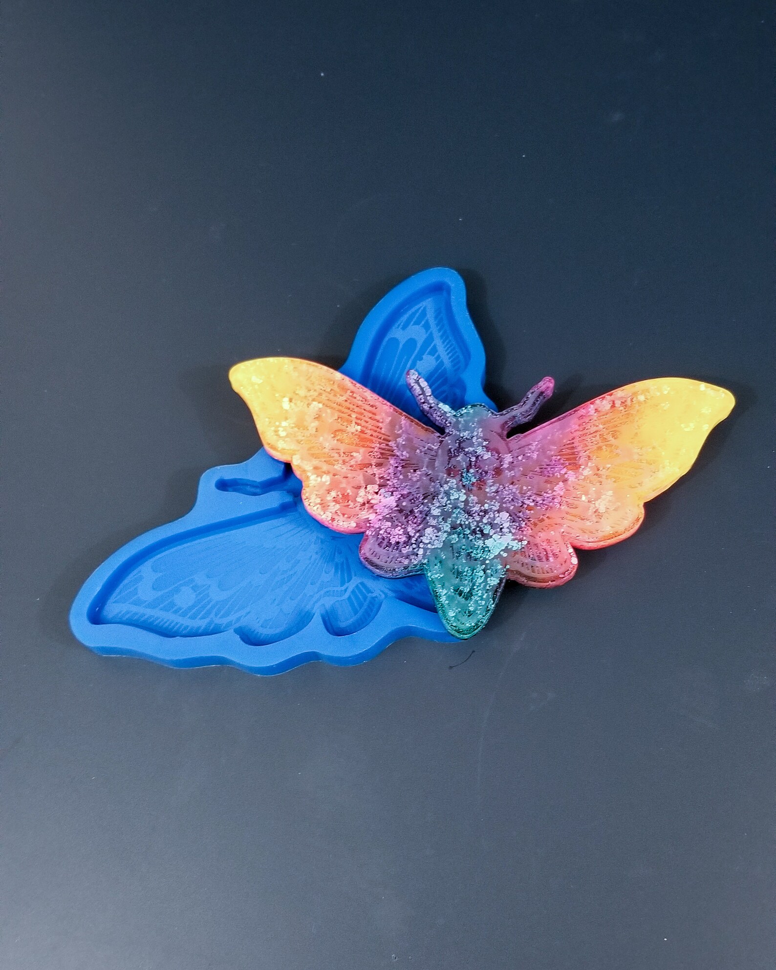 Etched Death Moth Silicone Mold Shiny Mould for Resin and - Etsy