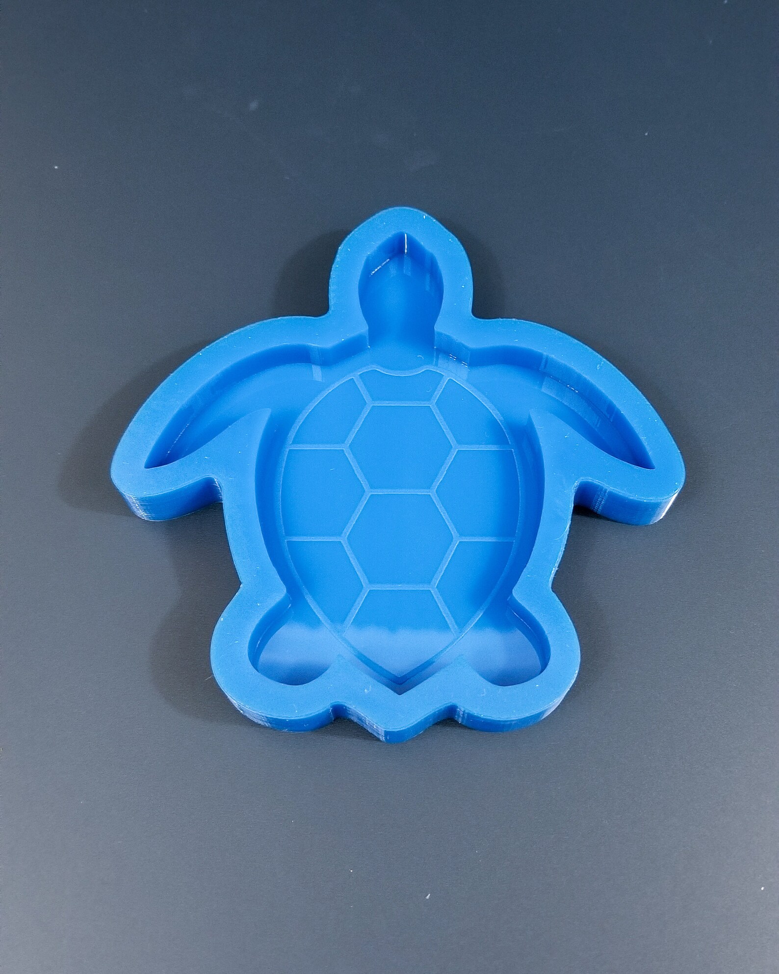 Turtle Etched Silicone Mold Shiny Mould for Resin and Concrete - Etsy