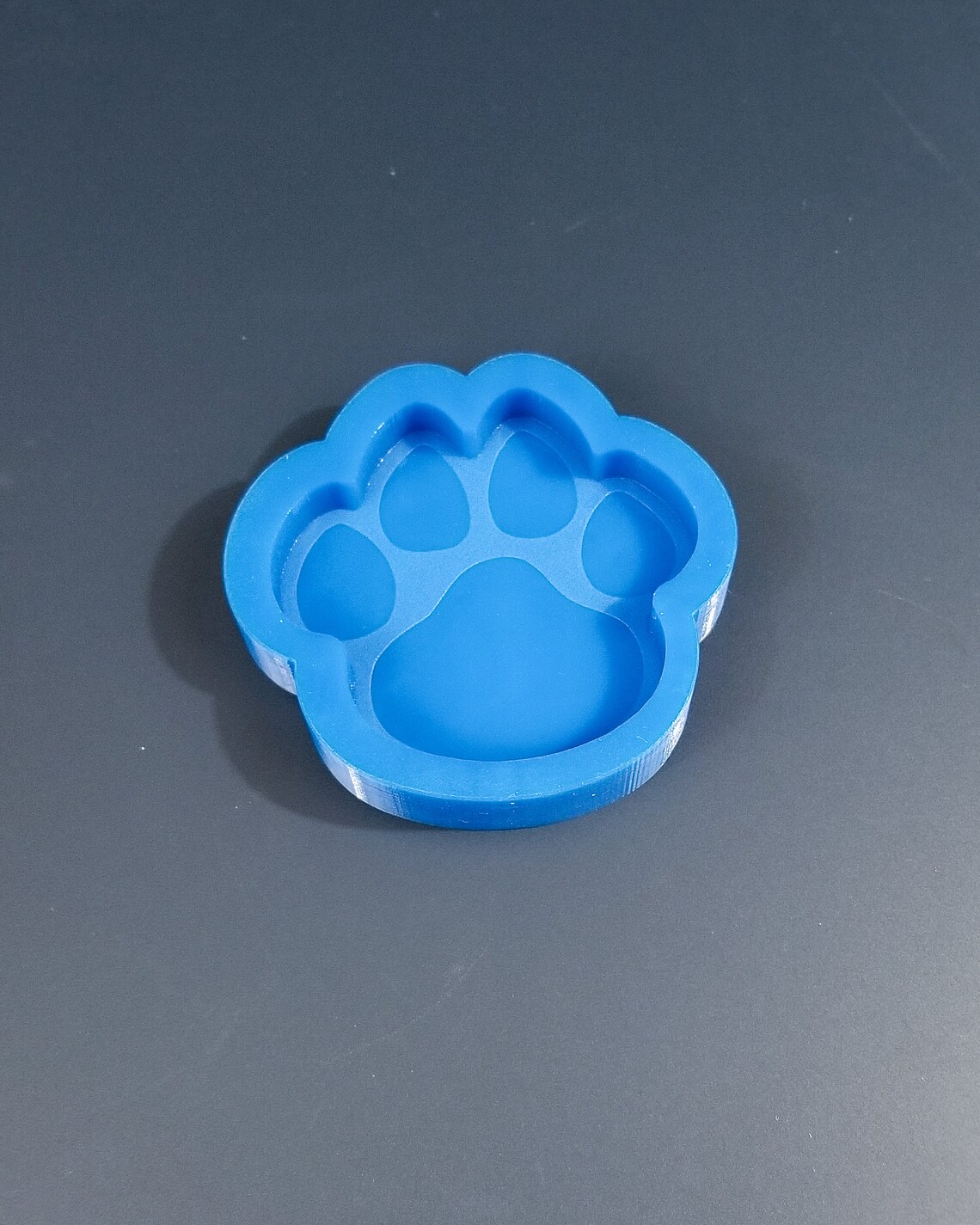 Paw Print Etched Silicone Mold Shiny Mould for Resin Crafting - Etsy
