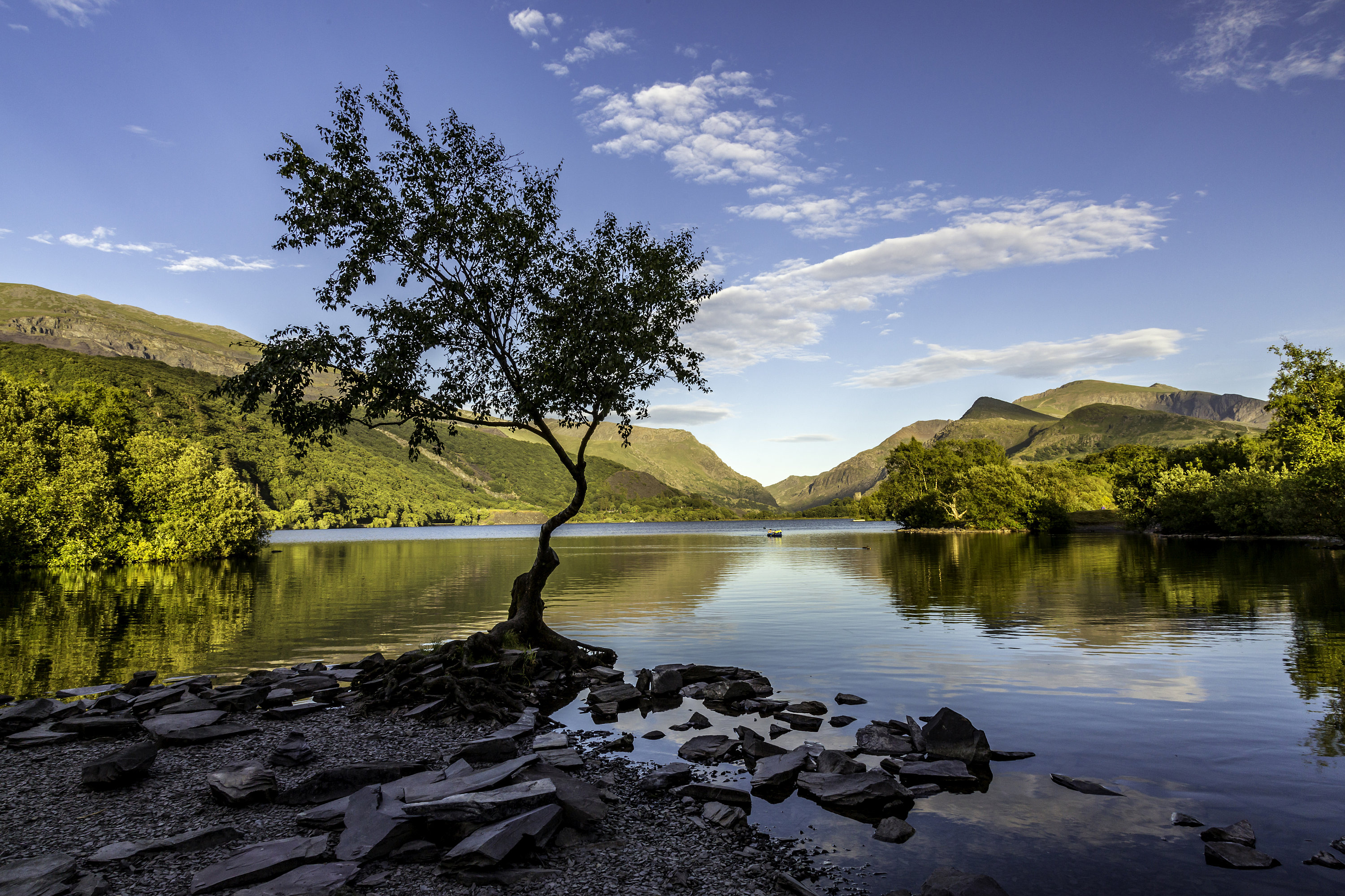 Llyn Padarn the Lonely Tree Photography Print. - Etsy