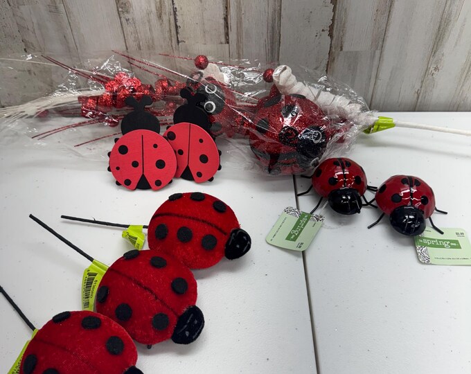 Ladybug Pick Destash Box - Etsy