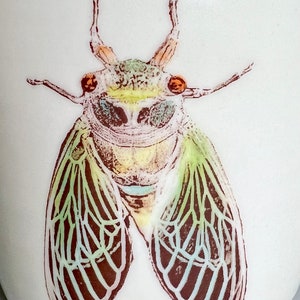 Handmade Ceramic porcelain Cicada Bud Vase - Etsy