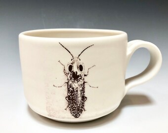 Ceramic Bug - Etsy