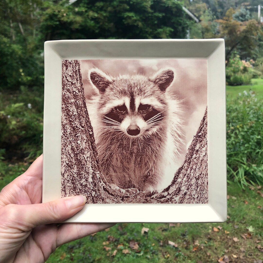 Handmade Ceramic Square Raccoon Plate - Etsy